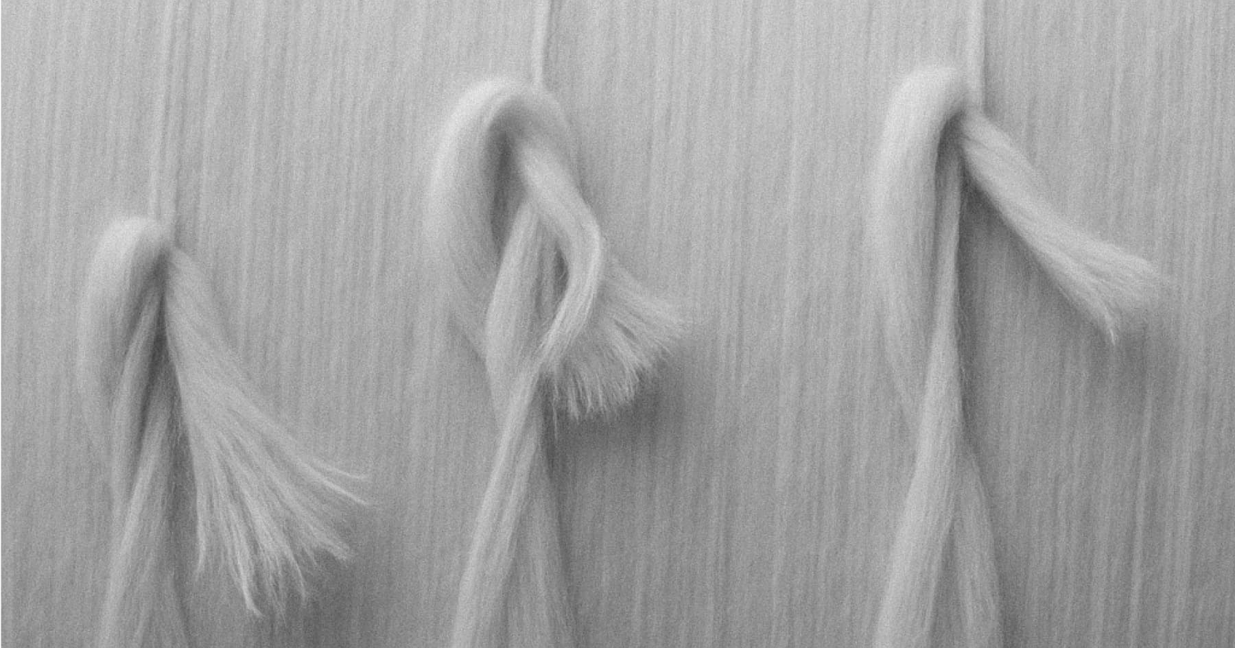 Cashmere 101 | Son of a Tailor